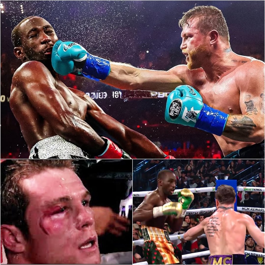 STUNNING! Canelo Álvarez Suffers a Devastating Knockout by Terence Crawford – “The King ...
