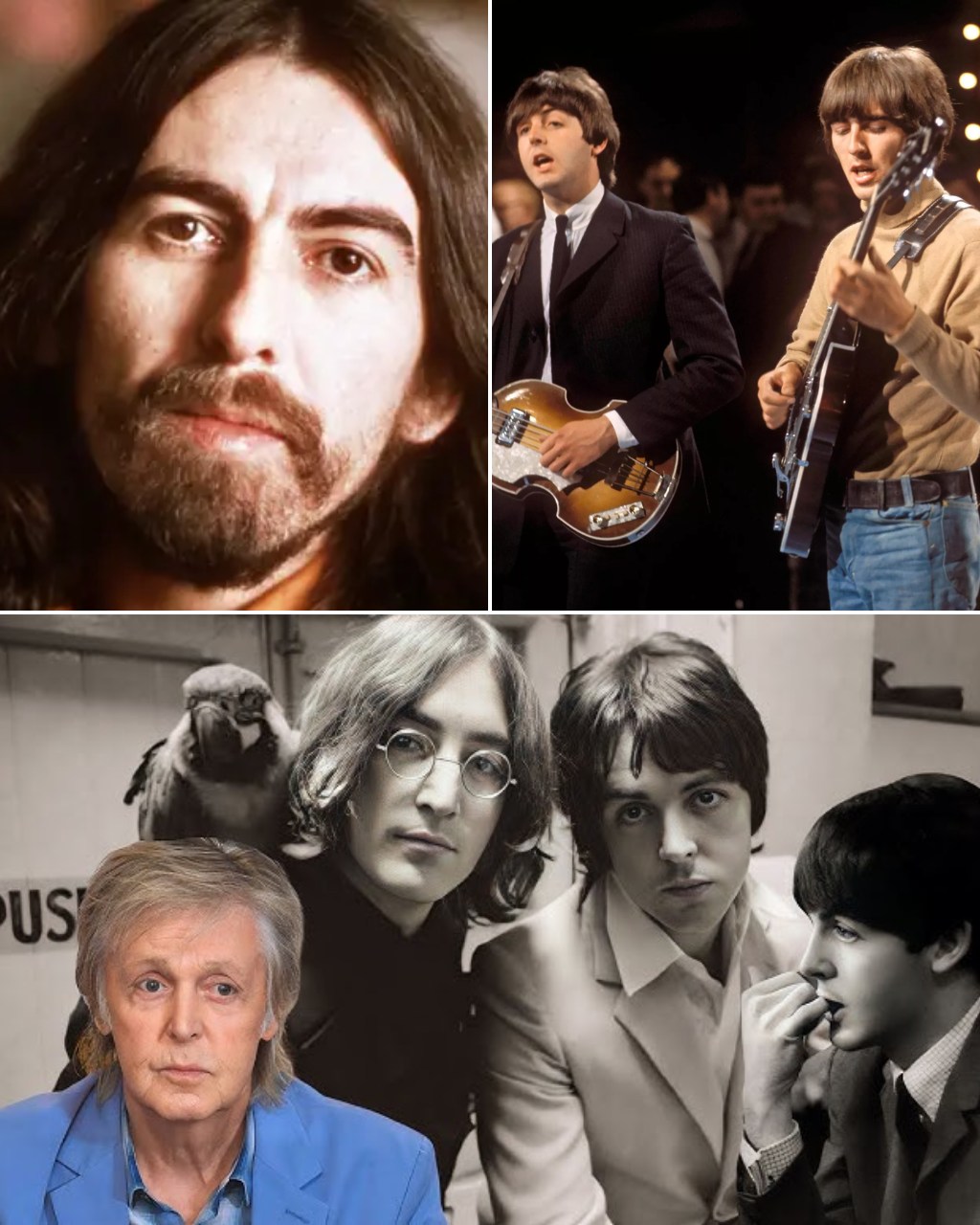 In the quiet twilight of his life, George Harrison shared one final, intimate reunion with Paul ...