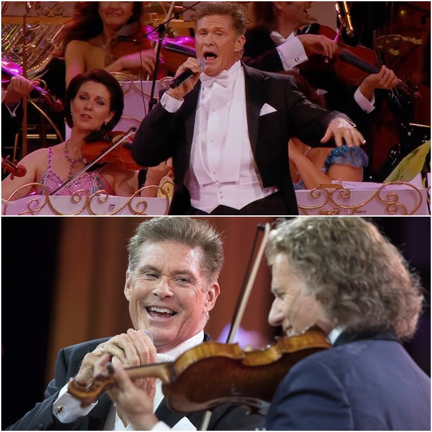 This is undoubtedly the finest musical performance ! David Hasselhoff ...