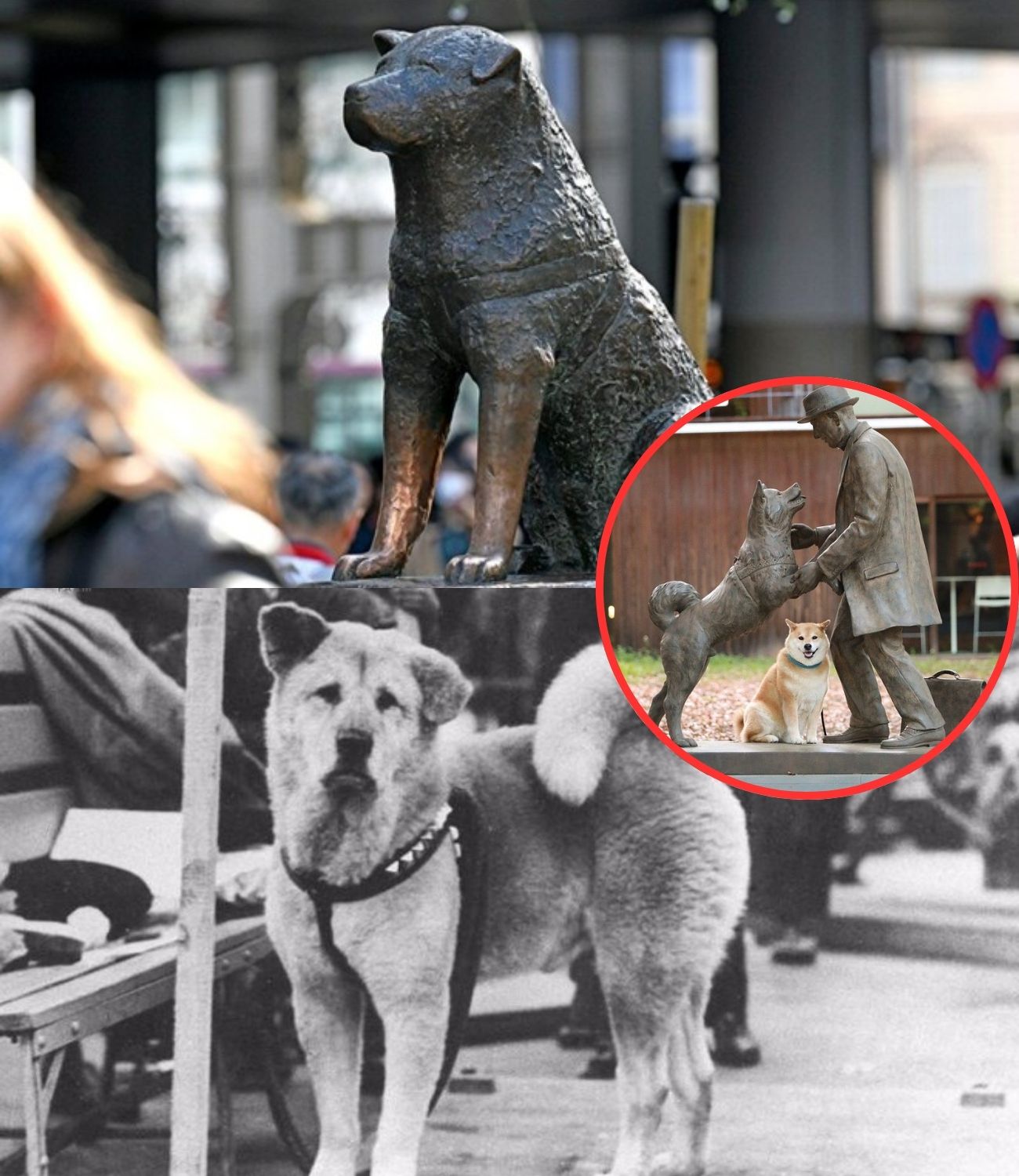 The Heartbreaking True Story of Hachiko: Japan’s Most Loyal Dog Who Waited Every Day for a ...